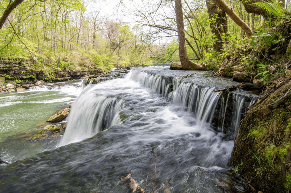 Kevin Vann and the Duck River Watershed Society Are Here to Maintain ...