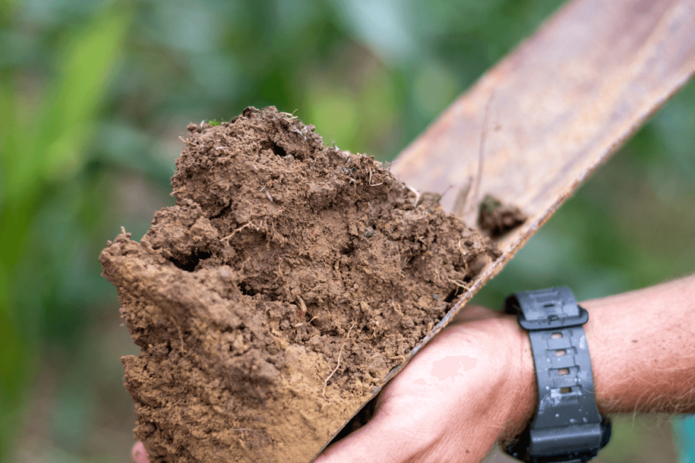 Adam Daugherty: Healthy Soil, Healthy Crops - Manchester, TN Good News ...