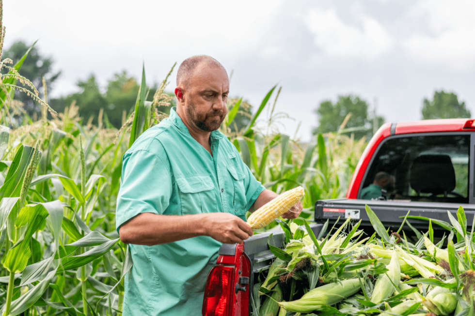 Adam Daugherty: Healthy Soil, Healthy Crops - Manchester, TN Good News ...