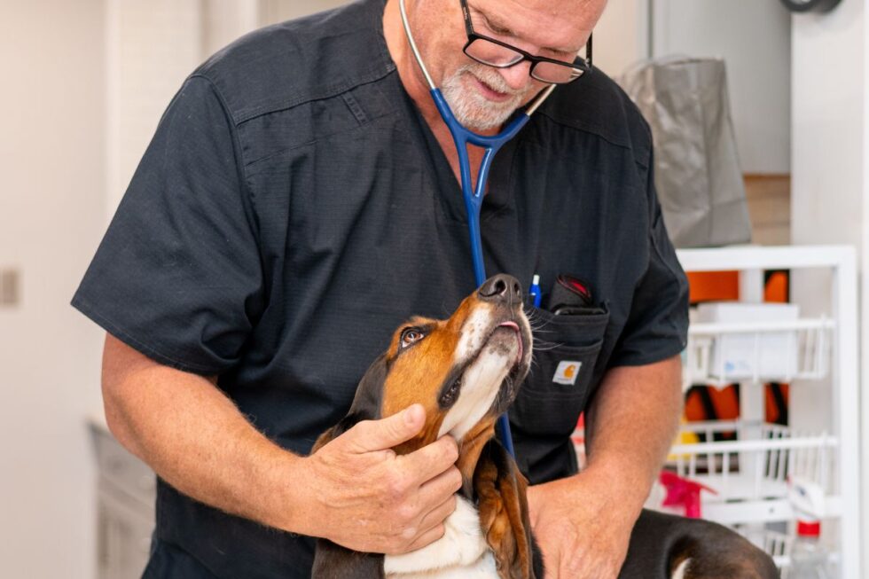 Cascade Veterinary Hospital: Called to care - Shelbyville, TN Good News ...