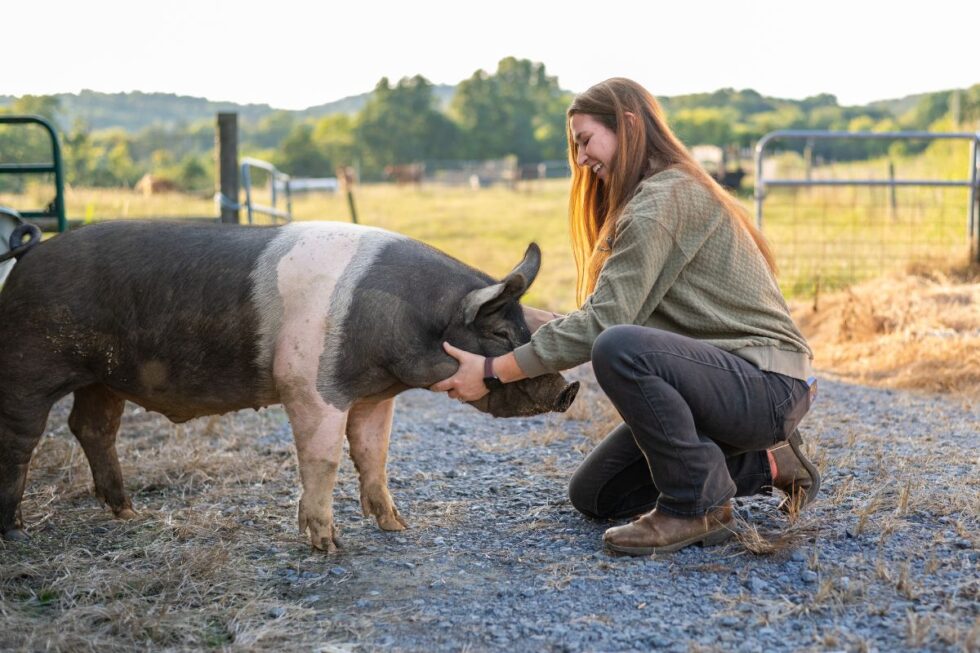 Cascade Veterinary Hospital: Called to care - Shelbyville, TN Good News ...